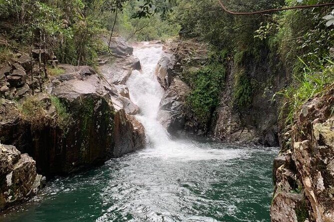 Eungella Platypus Tour - Who Would Love This Tour?
