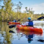 Everglades City: Guided Kayaking Tour of the Wetlands - A Closer Look at the Experience