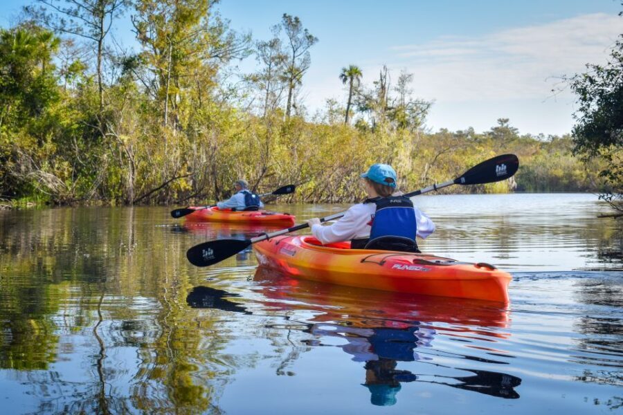 Everglades City: Guided Kayaking Tour of the Wetlands - A Closer Look at the Experience