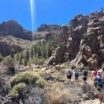 Exclusive hike on Mount Teide with a certified guide - Who Is This Tour Best For?