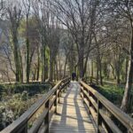 Excursion to Plitvice National Park - The Value of This Tour