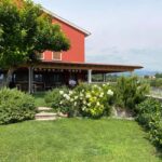 Experience Valpolicella: visit and tasting near Verona - What you’ll get for your money