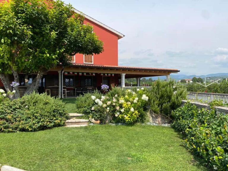 Experience Valpolicella: visit and tasting near Verona - What you’ll get for your money