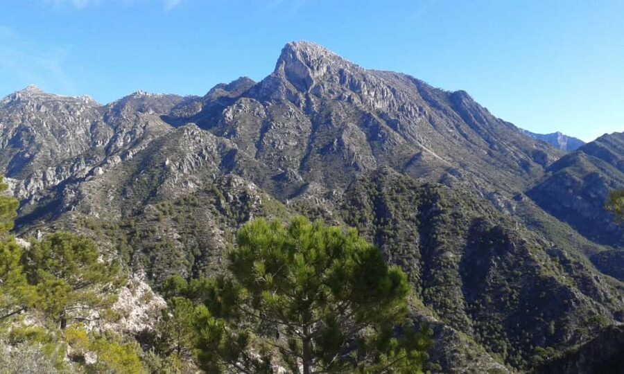 Explore the Nerja National Park nature in our open-top jeeps - The Layout of the Tour