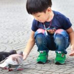 Exploring Madrid  Private Family Walking Tour - Practical Considerations and Tips