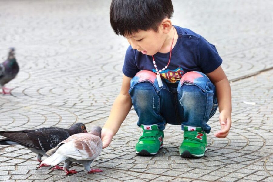 Exploring Madrid  Private Family Walking Tour - Practical Considerations and Tips