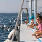 FAANA: PANORAMA NP BRIJUNI AND ISLAND SWIMMING STOP - What’s Included and What’s Not
