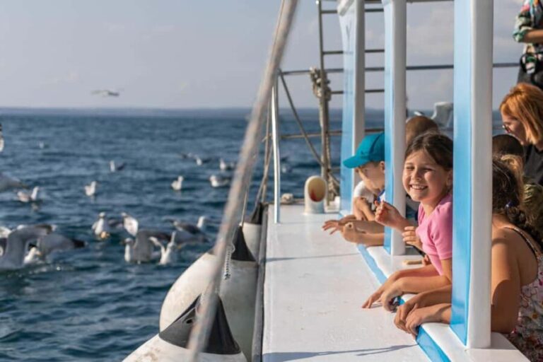 FAANA: PANORAMA NP BRIJUNI AND ISLAND SWIMMING STOP - What’s Included and What’s Not