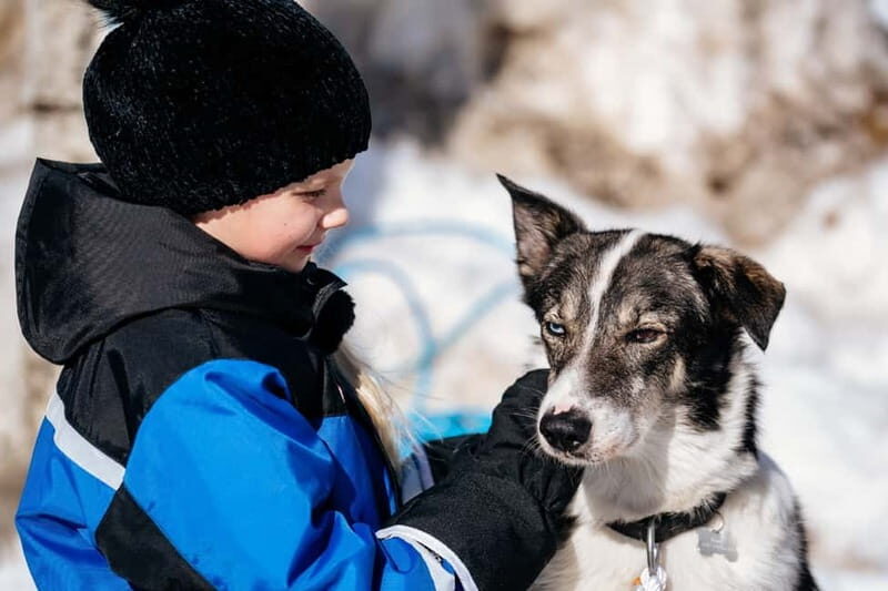 Family Snow Fun with Huskies, Reindeer, Mini Scooters, Lunch - Who Will Love This Tour?