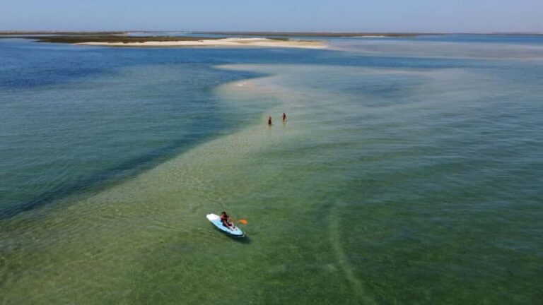 Faro: Private Boat Tour with Oyster Tasting and Sunset - Final Thoughts: A Relaxed, Authentic Experience