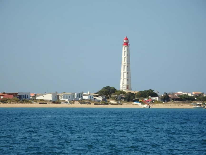 Faro: Ria Formosa - The Grand 3 Islands Boat Tour - Who Is This Tour Best For?