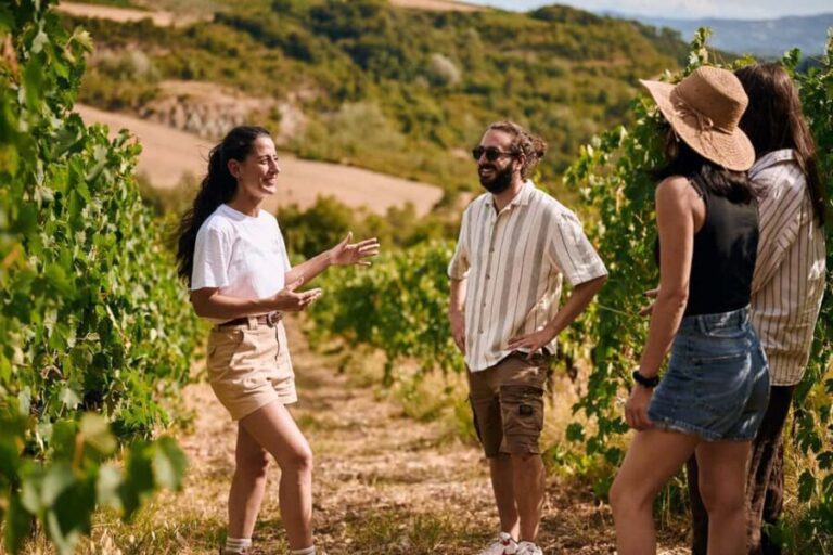Fattoria La Leccia, Monterspertoli: vineyard walk & tasting - An Authentic Taste of Tuscany’s Countryside