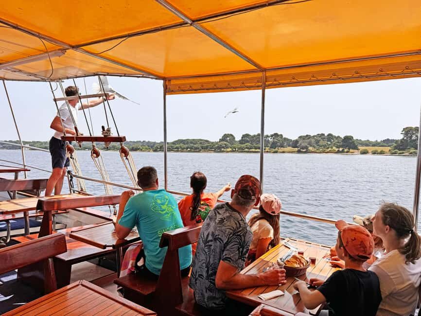 Fazana: Eco Friendly Brijuni Dolphins with Dinner & Drinks - The Voyage: Scenic Views & Dolphin Encounters