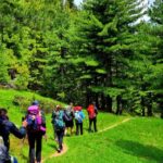 Ferizaj: Guided Mountain Hiking and Via Ferrata Adventure - What You Can Expect from the Tour