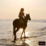 Fethiye Horse Riding in the Sea, Botanical Forest, Beach and Coastal Horseback Riding - What’s Included and What to Know Before You Go