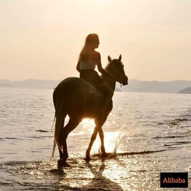 Fethiye Horse Riding in the Sea, Botanical Forest, Beach and Coastal Horseback Riding - What’s Included and What to Know Before You Go