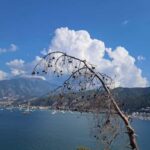 Fethiye Peninsula: Guided Hike&Swim around Hidden Bays - Why This Tour Matters: The Value for the Traveler