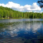 Finland: Private Tour by Car with Arabic-Speaking Guide - Exploring Finland with a Private Guide