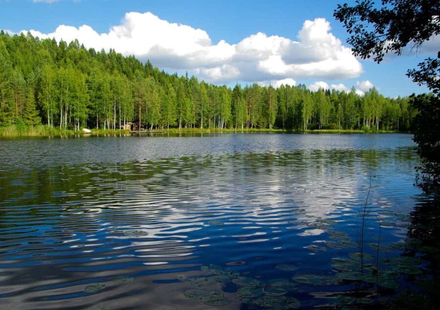 Finland: Private Tour by Car with Arabic-Speaking Guide - Exploring Finland with a Private Guide