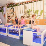Fish Spa Experience Playa Fañabe - What Do Real Travelers Say?