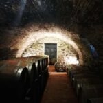 Florence like a local wine teasting - The Scenic Highlights and Hidden Corners