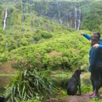 Flores Island: Full-Day Guided Tour - What the Reviews Say: Authentic Experiences and Exceptional Guides