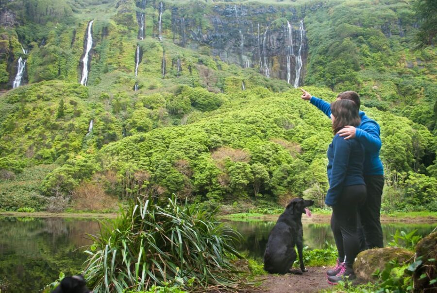 Flores Island: Full-Day Guided Tour - What the Reviews Say: Authentic Experiences and Exceptional Guides
