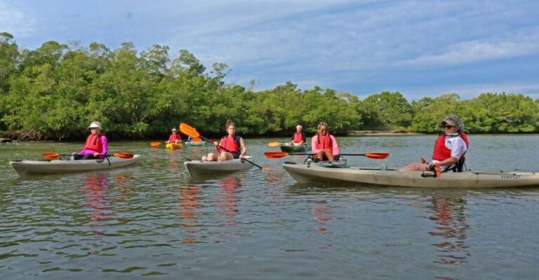 Florida Keys: Key West Kayak Eco Tour with Nature Guide - The Value of the Experience