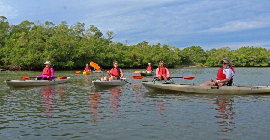 Florida Keys: Key West Kayak Eco Tour with Nature Guide - The Value of the Experience