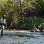 Fly Fish Utah Blue Ribbon Trout Waters - What Are the Highlights?
