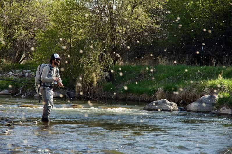 Fly Fish Utah Blue Ribbon Trout Waters - What Are the Highlights?