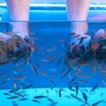 Foot care experience and Fish Spa Playa Fañabé - Key Points