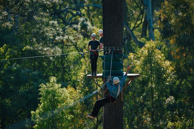Forest Adventures - The Value and Practicalities