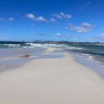 Formentera: 2-hour snorkel with marine biologist by boat - Practical Tips for the Best Experience