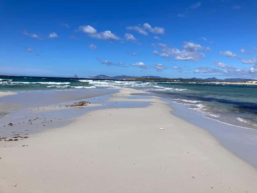 Formentera: 2-hour snorkel with marine biologist by boat - Practical Tips for the Best Experience
