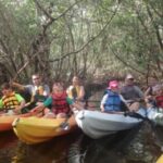 Fort Myers: Guided Kayaking Eco Tour in Pelican Bay - What Makes It Stand Out