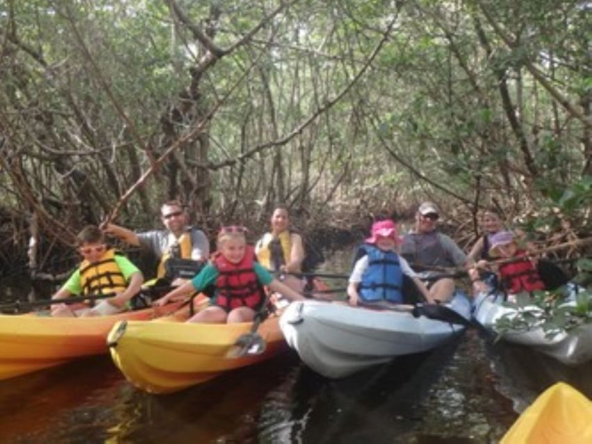 Fort Myers: Guided Kayaking Eco Tour in Pelican Bay - What Makes It Stand Out