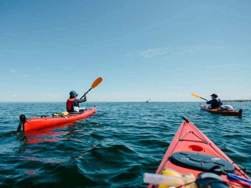 Fort Walton Beach: Tandem Kayak Rental - The Experience from the Perspective of Other Travelers