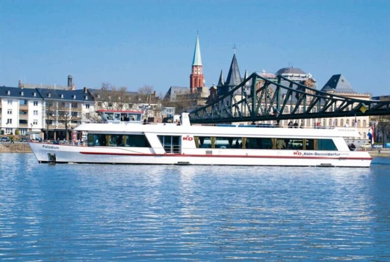 Frankfurt: All-Inclusive Advent Evening Cruise - Practical Details and Tips