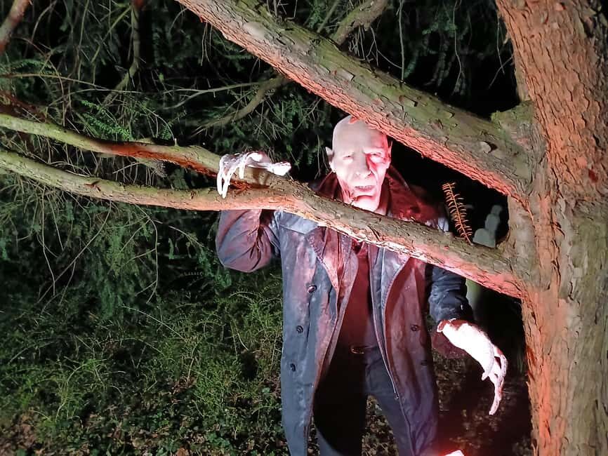 Frankfurt: Horror theater with city tour "Nosferatu's Resurrection" - Who Will Love This Tour?