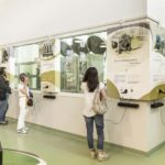 Frantoio di San Gimignano: tour of the oil mill and tasting - Authenticity and Experience — What Travelers Say