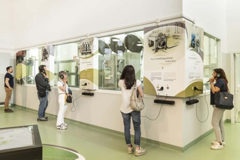 Frantoio di San Gimignano: tour of the oil mill and tasting - Authenticity and Experience — What Travelers Say