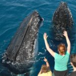 Fraser Island Whale Watch Encounter - Itinerary Breakdown: What Makes Each Part of the Day Special