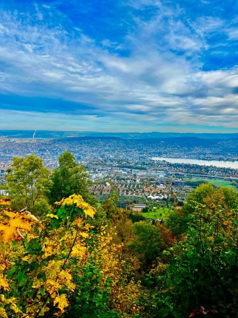 FREE PHOTO in Zurich walk cable car panoramic lake Zurich - Pricing and Value