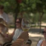 From Alicante: 2 Premium Wine Tastings and Tapas - The Wineries: Family-Run and Passionate