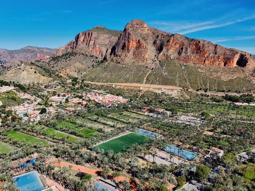 From Alicante: Elche Half-Day of Palms, History & Heritage - Who Will Love This Tour?