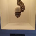 From Alicante: to the caves in Europe, Canelobre. Gidovik - A Closer Look at the Tour Experience