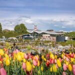 From Amsterdam: Day Trip Madurodam and Keukenhof Gardens - Practical Details and Value