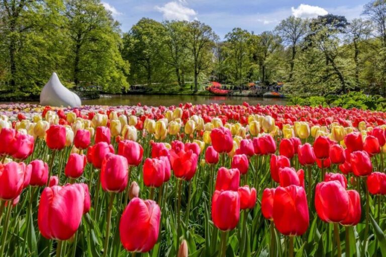 From Amsterdam: Keukenhof and Dutch Countryside Tour - Practical Details and Expectations