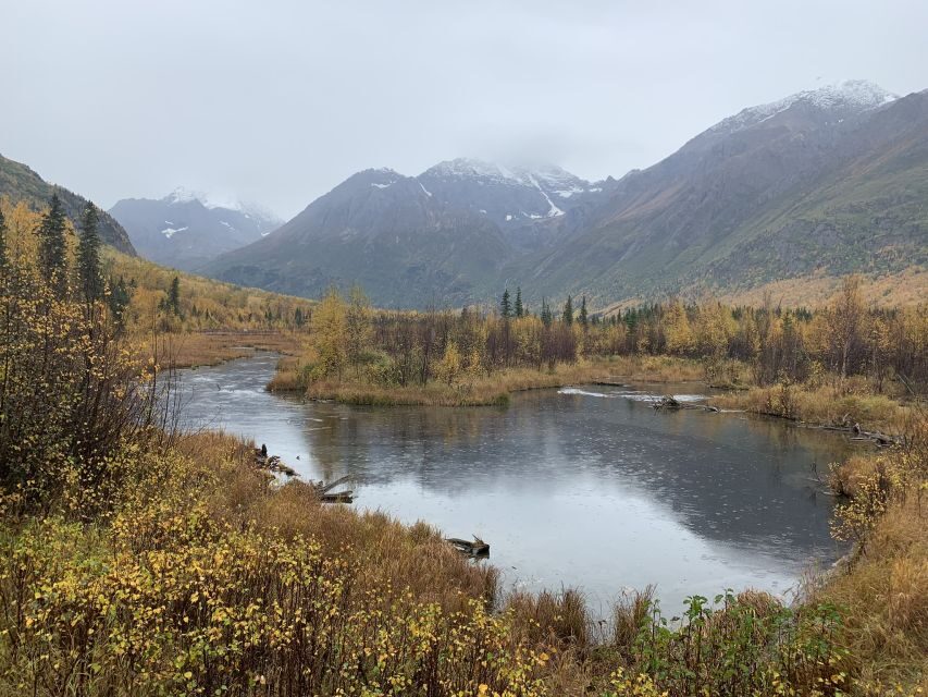 From Anchorage: Valley and Forest Hike with Naturalist Guide - What You Can Expect on the Hike